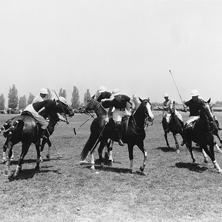 Nigel A Brassard and the Buck's Polo Club - SPIRIT OF POLO & JUMPING ...