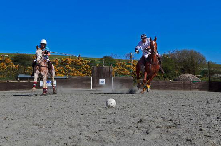 Polo Wicklow: a special Club - SPIRIT OF POLO & JUMPING - PRESSSPIRIT ...