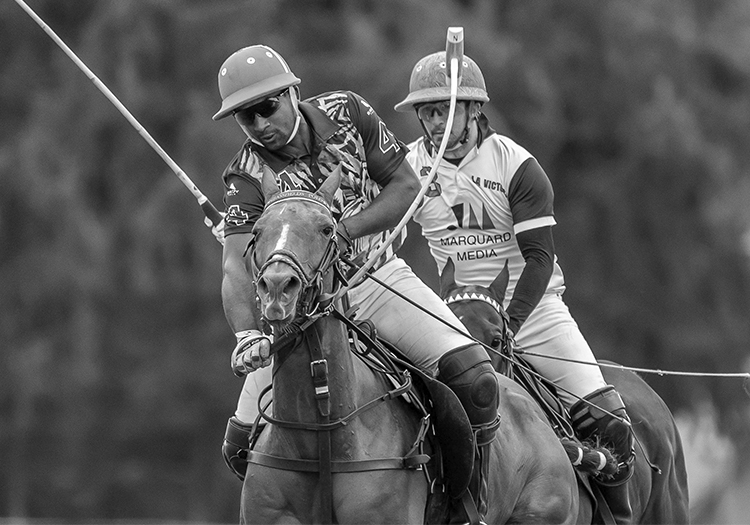 Arena Polo Tour 2021 : A series dedicated to the French professional ...